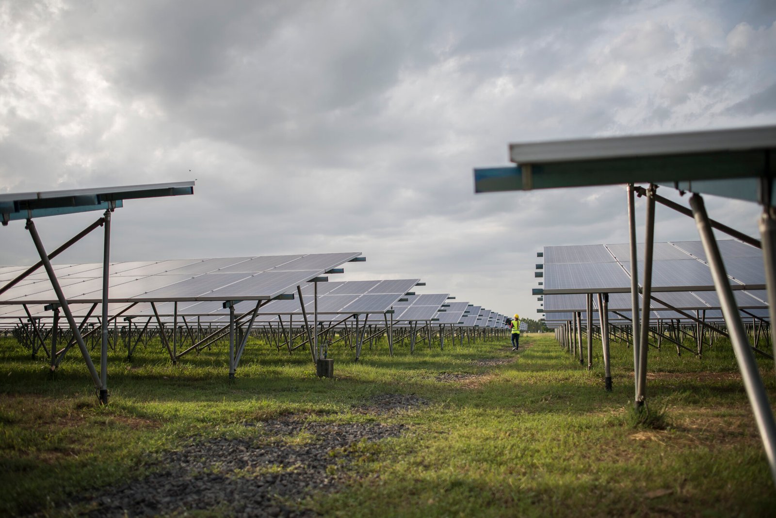 Mauritius CEB Agrivoltaics (CAV) II Scheme: Your Complete Guide ...